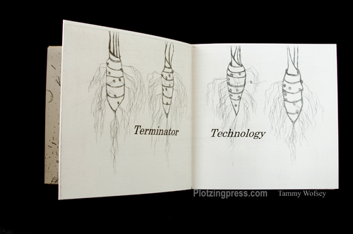 The Color of Regret | PlotzingPress