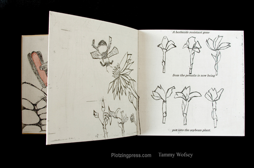 The Color of Regret | PlotzingPress